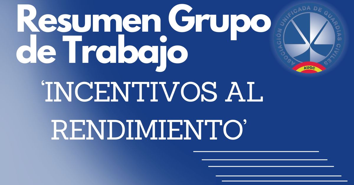 Resumen Grupo de Trabajo pOG x/2024 sobre el Reglamento por el que se regulan los incentivos al ...