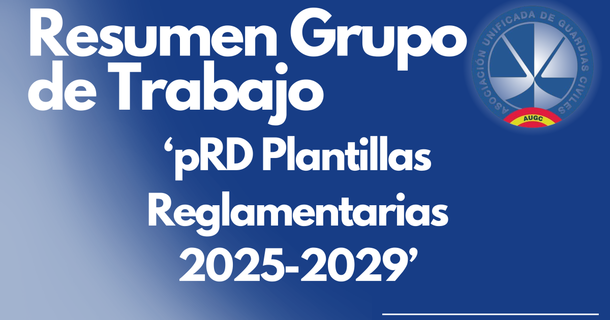 Grupo de Trabajo pRD Plantillas Reglamentarias 2025-2029 (20/03)
